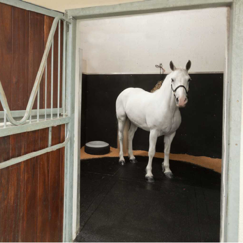 Agrimat > Equine > Stable solutions > Stable Deluxe | AgriServe